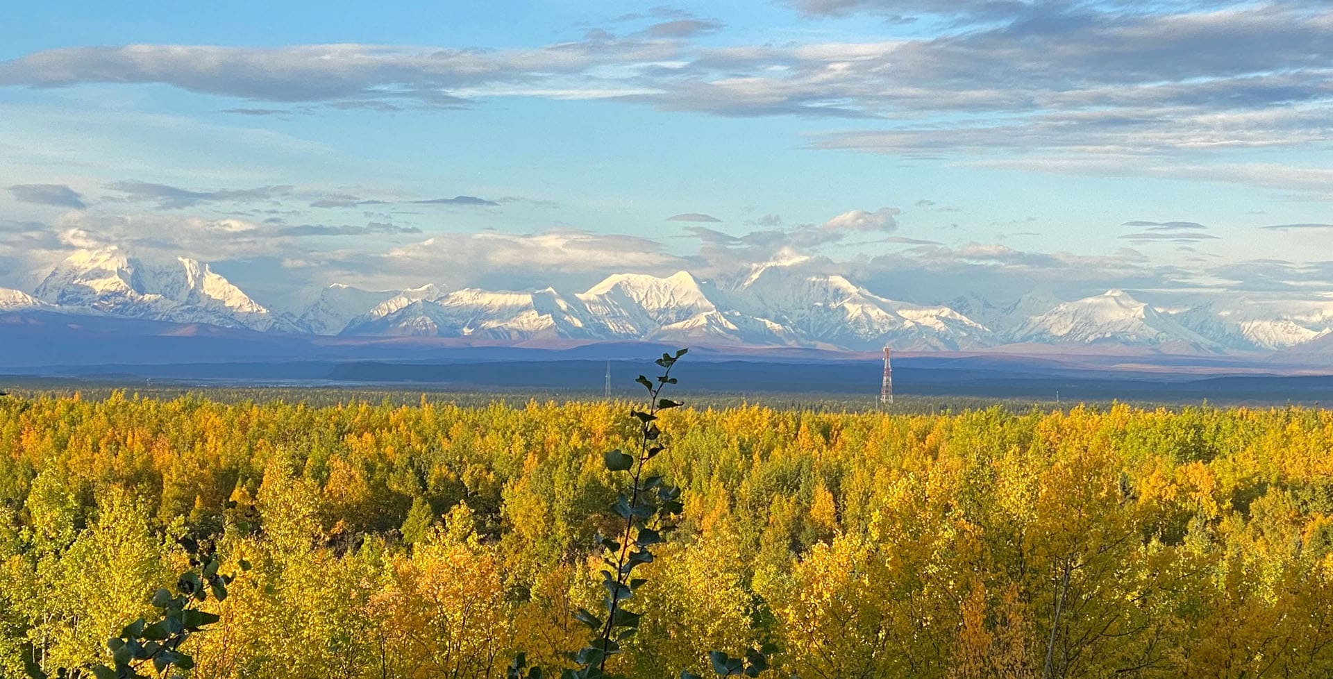 Board of Directors | Alaska Public Risk Alliance (APRA)